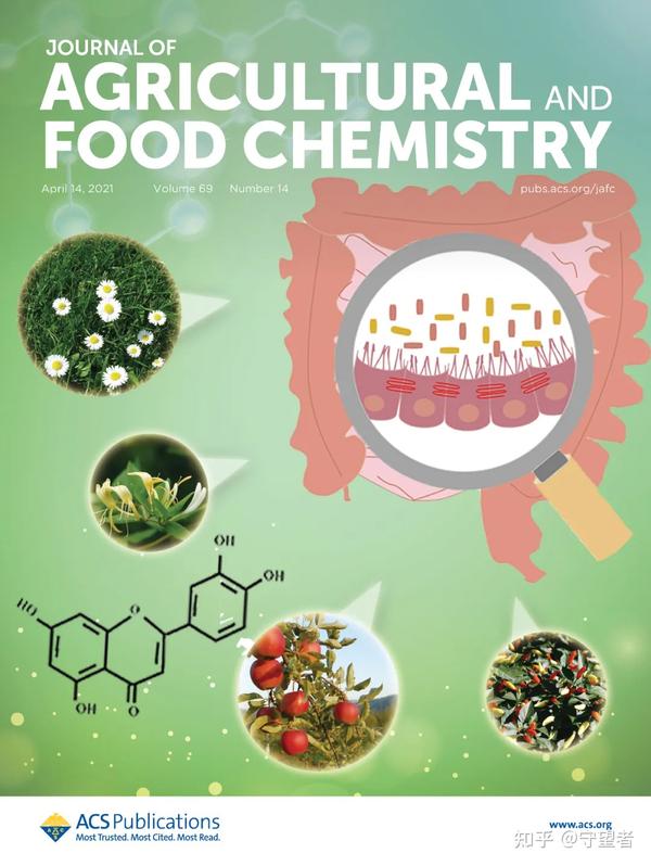 JAFC封面文章：木犀草素对乙醇引起的肠道屏障损伤的修复作用及相关机制 - 知乎
