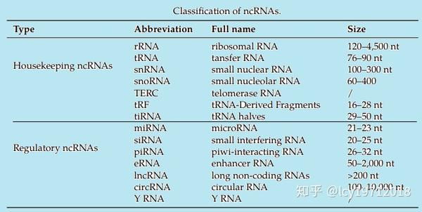 编码RNA与非编码RNA（一） - 知乎