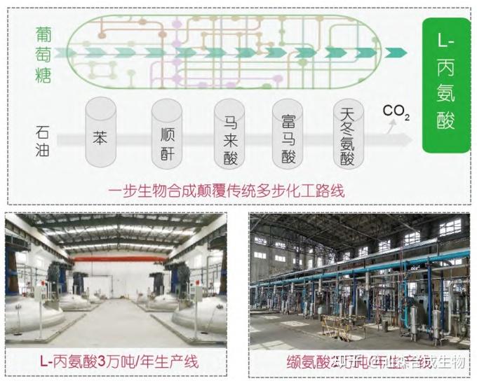 中科院天工所张学礼研究员团队综述： - 知乎