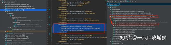 Springcloud入门实战 Openfeign服务调用 知乎