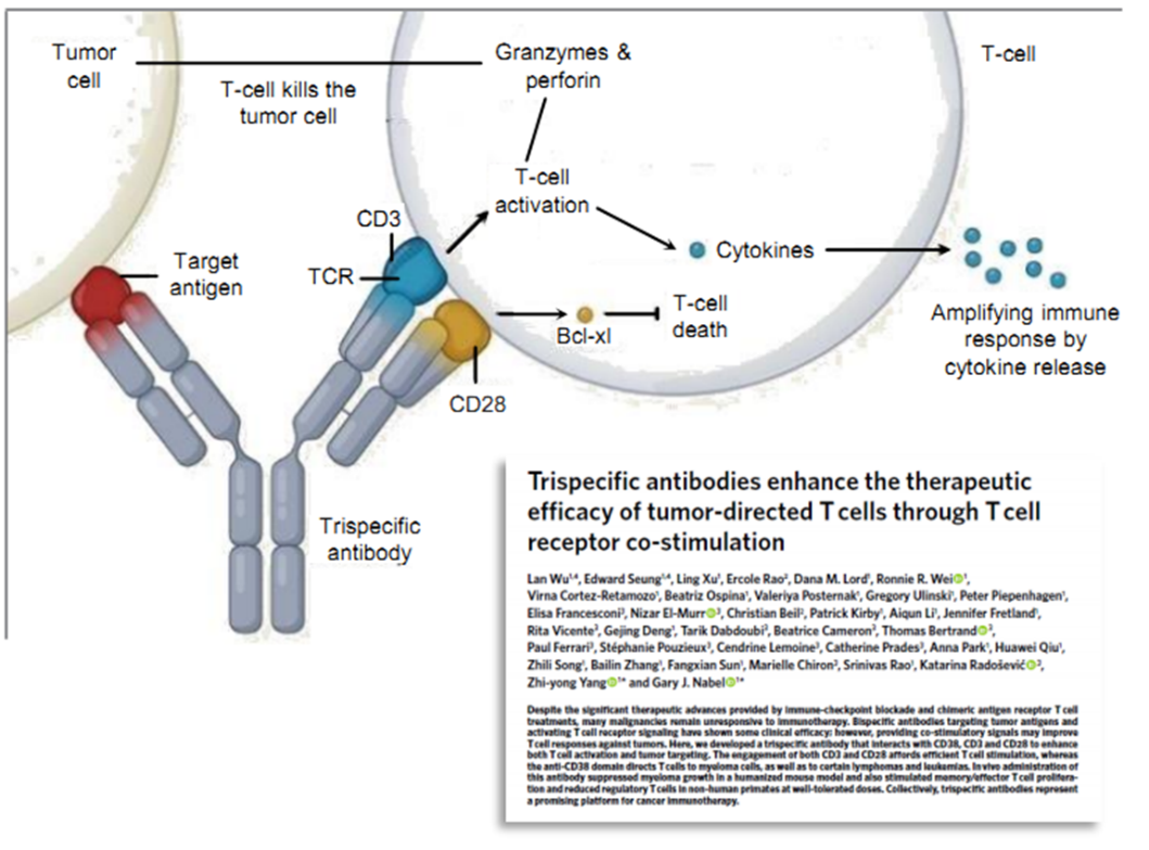 热门靶点组合策略CD3×TAA - 知乎