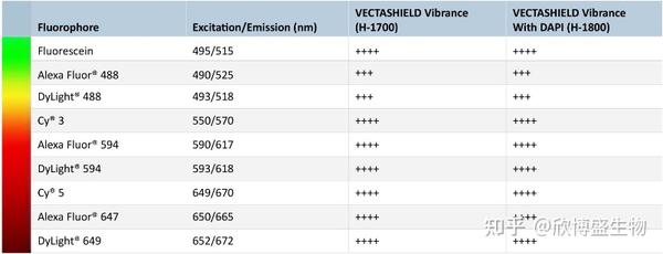 New! VECTASHIELD® Vibrance™ Antifade Mounting Media - 知乎