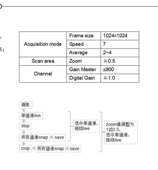 【学习笔记】激光共聚焦显微镜学习LSM800的使用 - 知乎