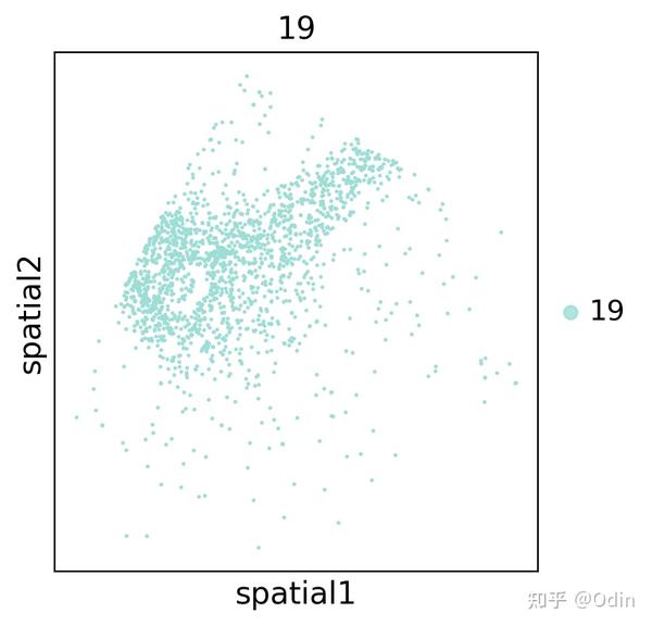教程：用scanpy和squidpy分析单细胞空间转录组数据 - 知乎