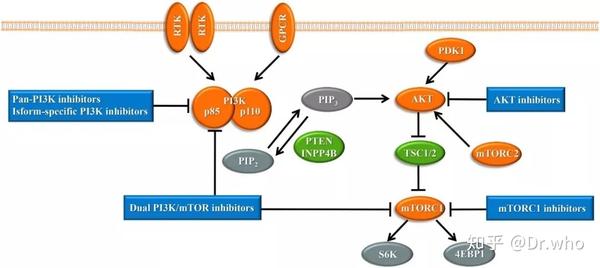 2019 ASCO | 非霍奇金淋巴瘤（NHL）最新进展 - 知乎