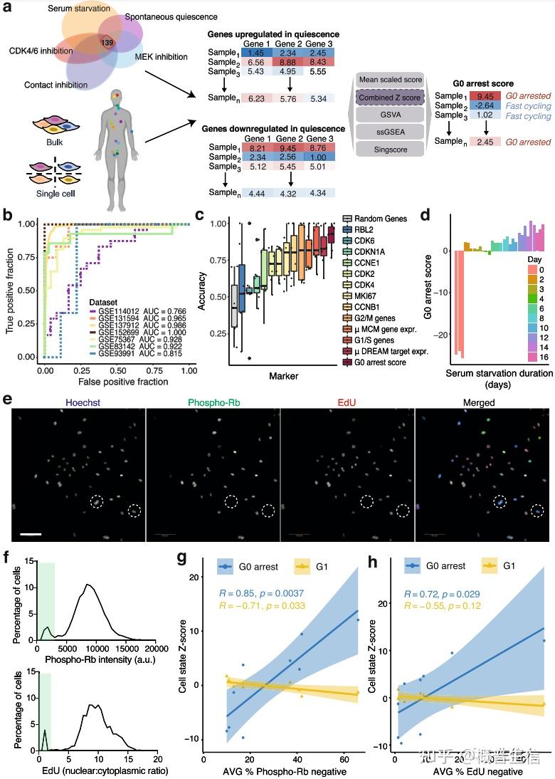 生信分析新热点！-细胞G0期 - 知乎