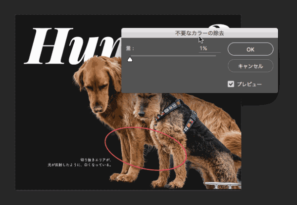 Ps抠图的十种方法，最后一个简直是万能 知乎