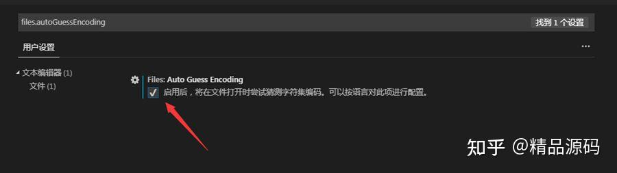 怎么配置vscode实现自动识别文件编码？【图文详解】 - 知乎