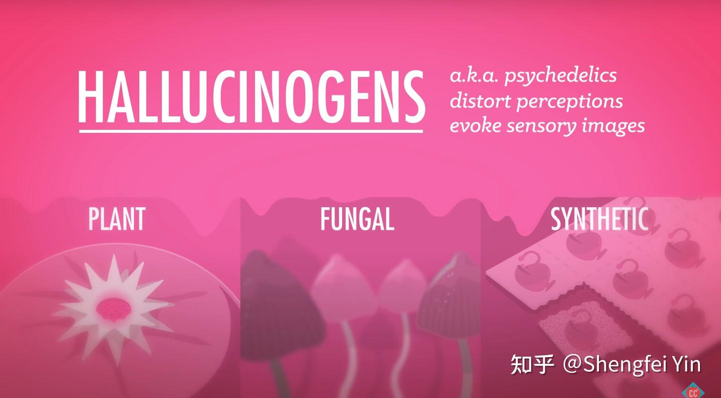 Altered States - Crash Course Psychology #10 - 知乎