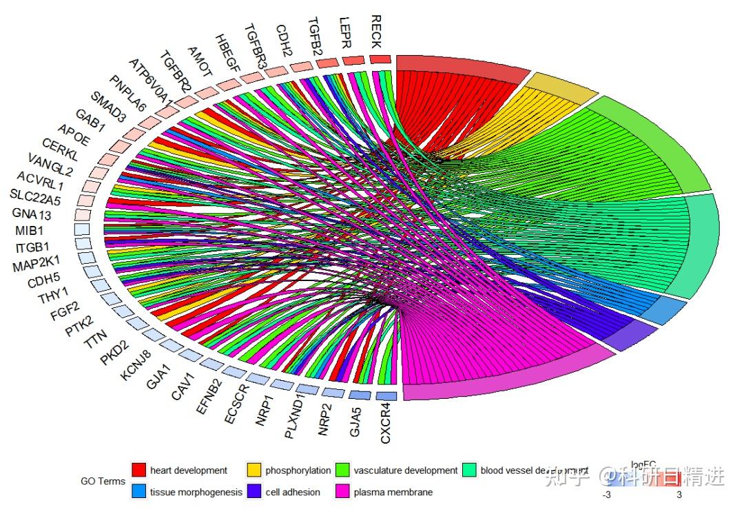 如何使用GOplot画一张精美的GO分析图 - 知乎
