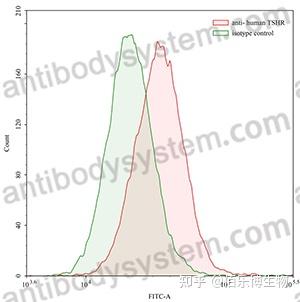 促甲状腺素受体TSHR/LGR3 Antibody (M22) - 知乎