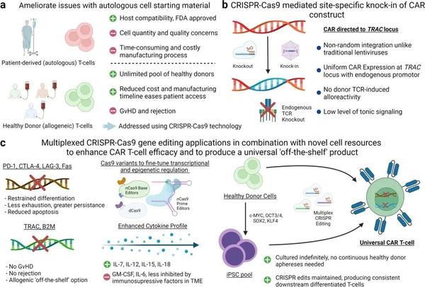 CRISPR/Cas9基因编辑技术的应用 - 知乎