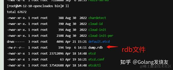 图说Redis持久化 RDB和AOF，我终于全明白了！ - 知乎