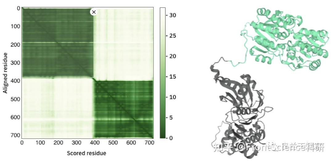 AlphaFold蛋白质结构数据库的简介 - 知乎