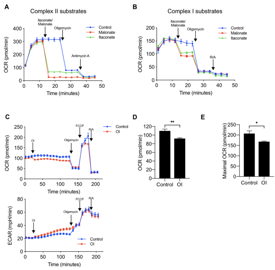 eLife丨内源性衣康酸不发挥抗炎抗氧化应急作用，外源性衣康酸发挥的抗炎作用不依赖Nrf2 - 知乎