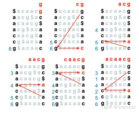 重测序数据分析（短序列的比对算法SNP/indel 和CNV/SV calling 方法） - 知乎