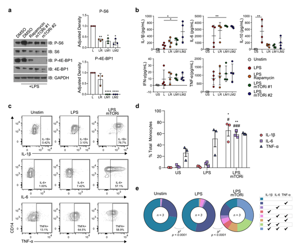 Nature新子刊丨mTOR对代谢的调节限制了LPS诱导的单核细胞炎症和促凝血反应 - 知乎