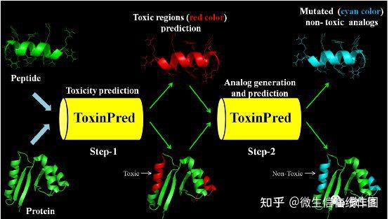 ToxinPred – 多肽毒性预测、突变设计和理化性质预测 - 知乎