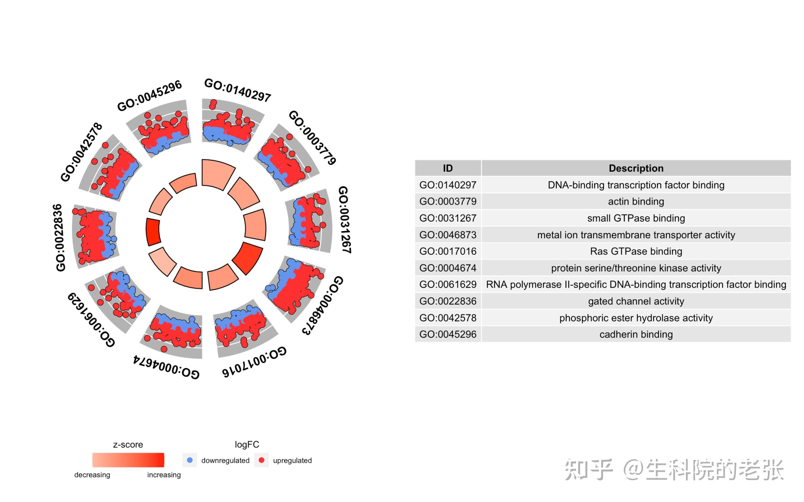 最全的GO, KEGG, GSEA分析教程(R),你要的高端可视化都在这啦！[包含富集圈图] - 知乎
