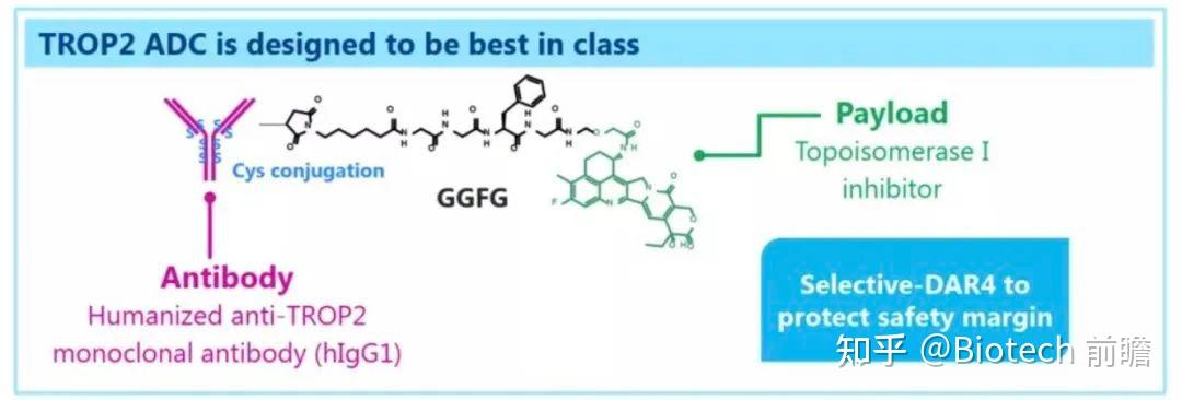 TROP2 ADC丨第一三共首个乳腺癌III期阳性，研发隐忧 - 知乎