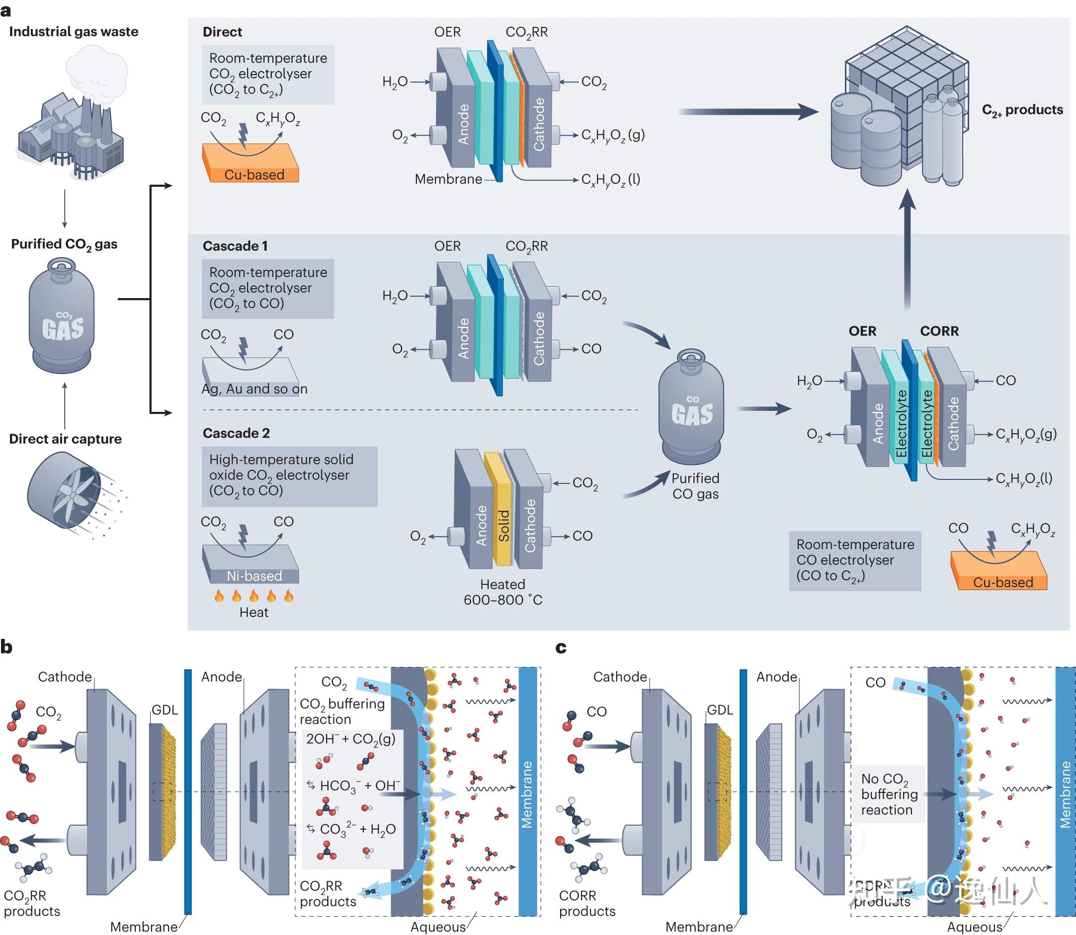 CO2RR和CORR反应体系对产物选择性的影响及原因 - 知乎