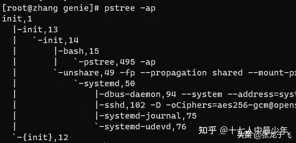 wsl子系统不能使用systemd - 知乎