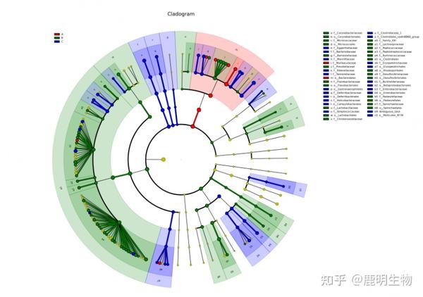 探“云”指南：免费快捷LEfSe在线分析小工具操作指南！ - 知乎