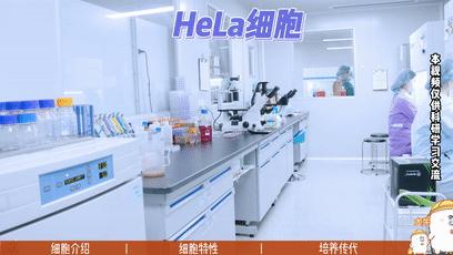 Hela细胞培养，人宫颈癌细胞培养攻略 - 知乎