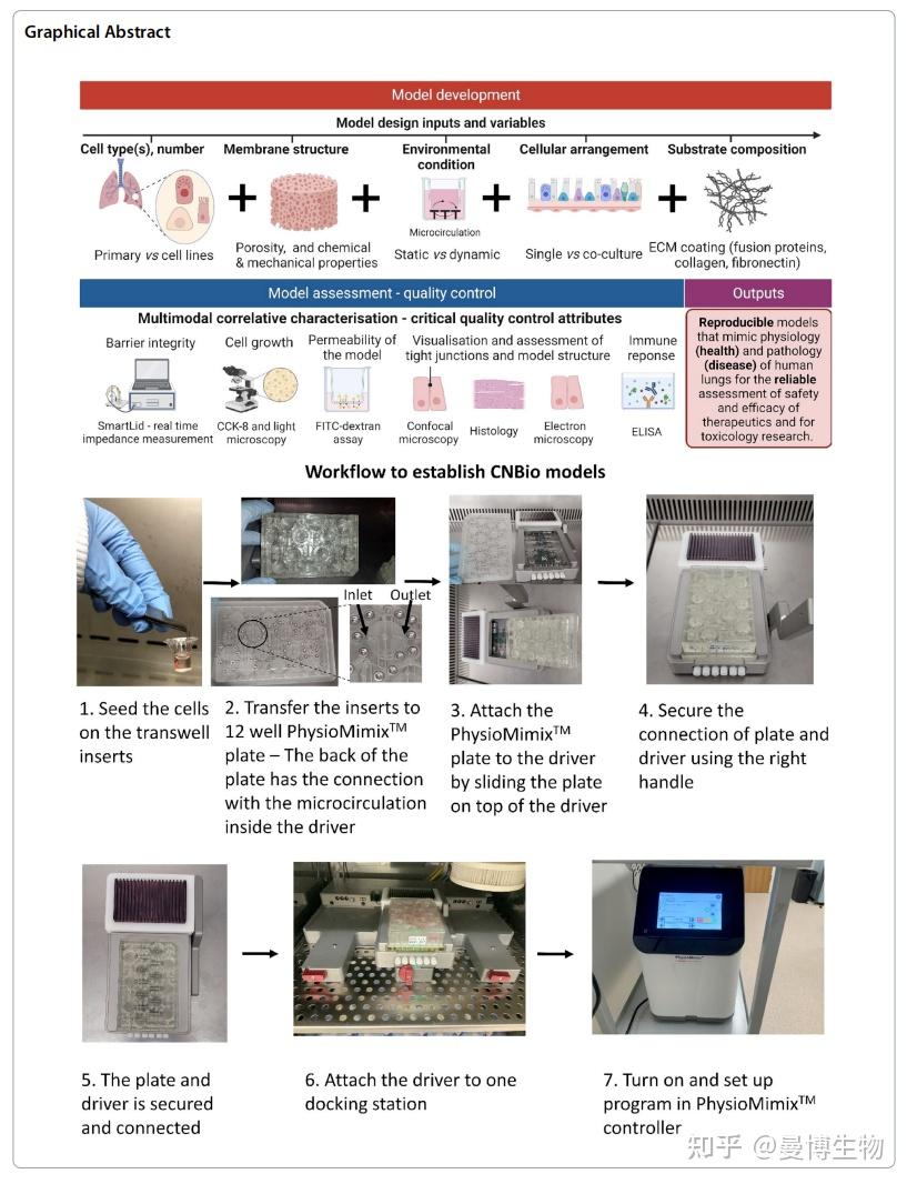 CN-bio Innovations的PhysioMimix器官芯片微生理系统成功模拟健康正常人肺 - 知乎