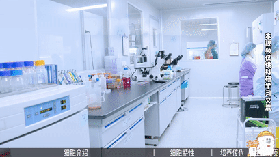 WRL68细胞培养， 人肝细胞培养攻略 - 丰晖生物 - 知乎