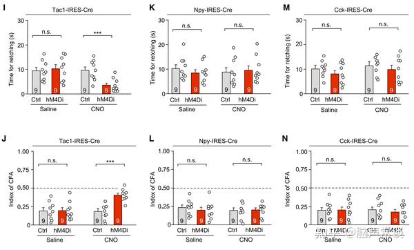 Cell丨北京生命科学研究所曹鹏课题组揭示背侧迷走复合体相关环路介导了食物中毒和化疗引起的防御反应 - 知乎