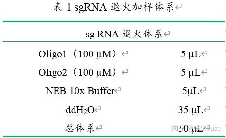 sgRNA实现细胞KO从引物设计到阳性细胞筛选-保证实用 - 知乎