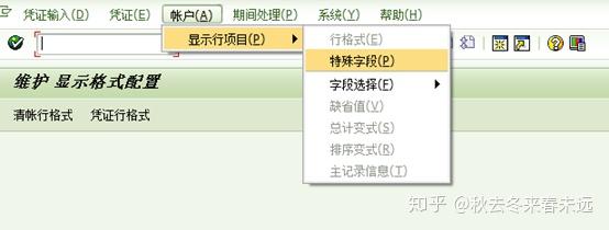 SAP那些事-实战篇-23-总账行项目报表（FBL3N&FAGLL03）增加字段总结 - 知乎