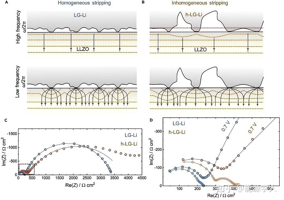 固态电池大佬--德国吉森大学教授Jürgen Janek：原位阻抗深入剖析“孔”对固态电池锂金属负极的影响 - 知乎
