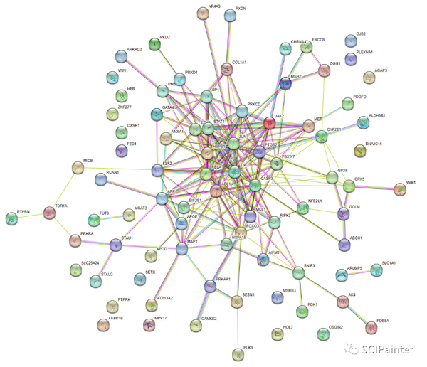 Cytoscape教程|如何构建排序的环状蛋白互作网络图？ - 知乎