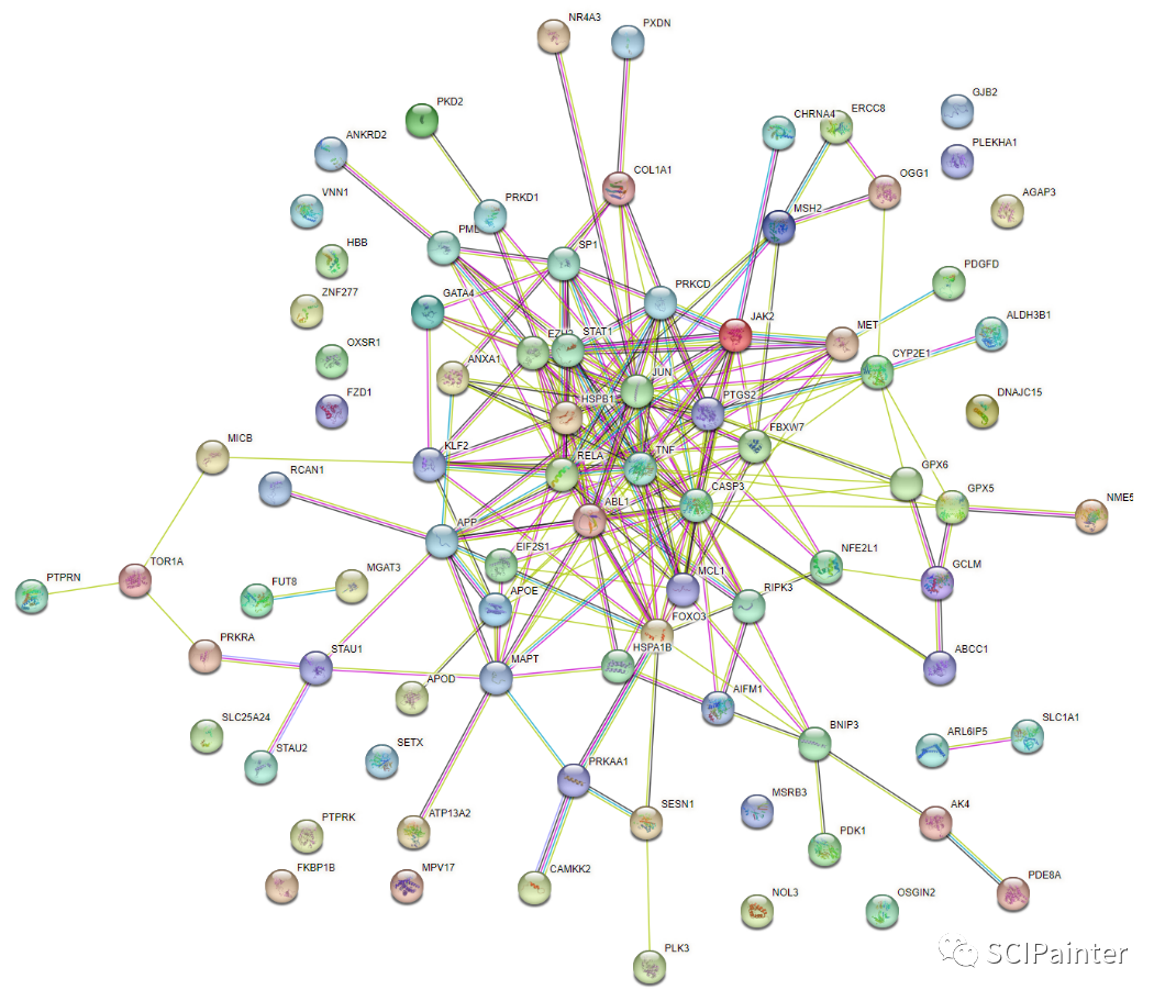 Cytoscape教程|如何构建排序的环状蛋白互作网络图？ - 知乎