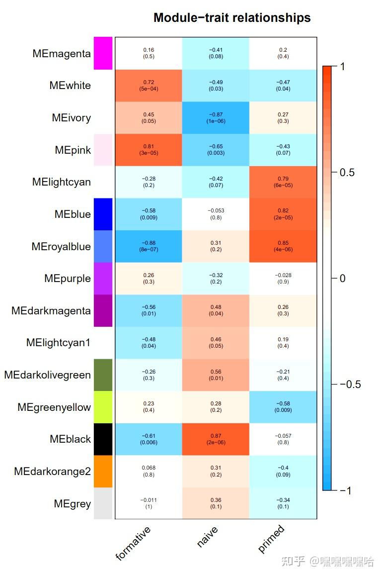 RNA-seq入门实战（十一）：WGCNA加权基因共表达网络分析——关联基因模块与表型 - 知乎