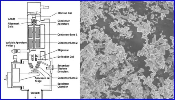 SCI论文中怎样描述SEM结果？ - 知乎