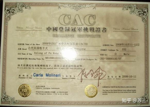 【犬赛知识】CACIB相关比赛及证书介绍（转载） - 知乎
