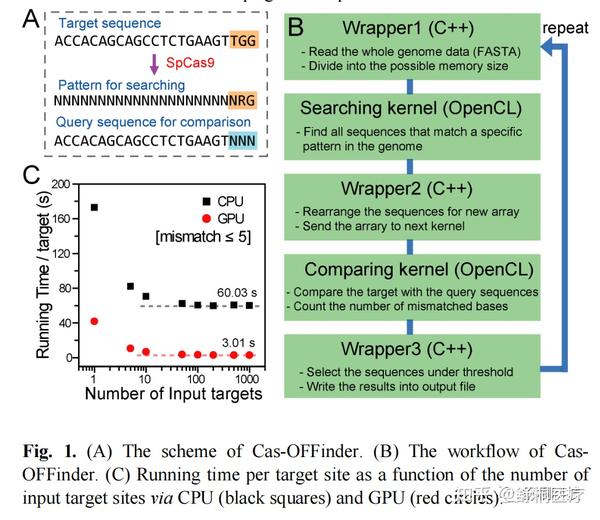 基因编辑工具分享（一） | sgRNA脱靶预测线上工具Cas-Offinder - 知乎