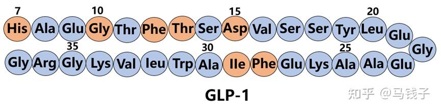 创造奇迹的神药——GLP-1/GIP双受体激动剂替尔泊肽结构-活性浅析（二） - 知乎