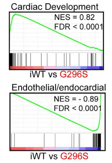 一文掌握GSEA通路富集分析，超详细教程！ - 知乎