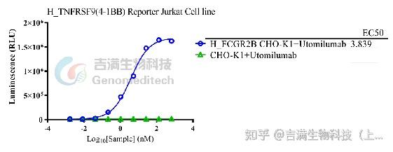 T细胞共刺激靶标：4-1BB - 知乎