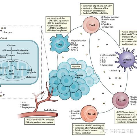 想实现SCI绘图自由，无图不欢？零基础教会你复现CNS文章配图 - 知乎
