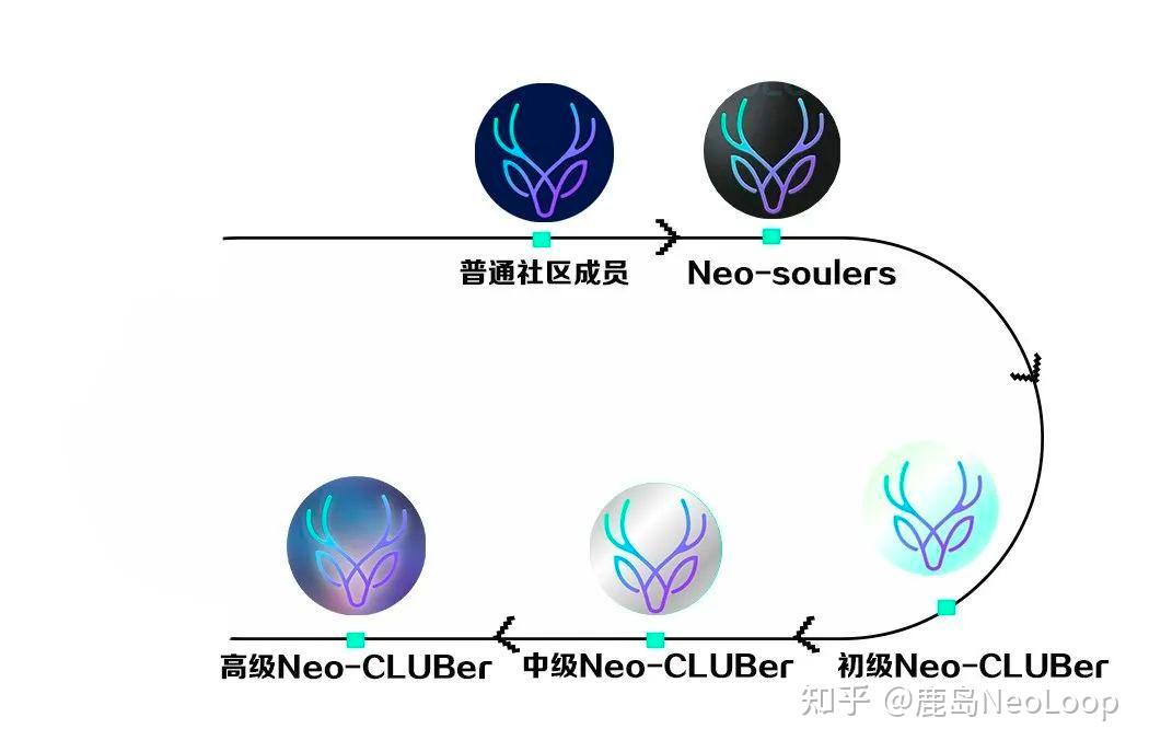 2分钟学会创建一个DAO组织 - 知乎
