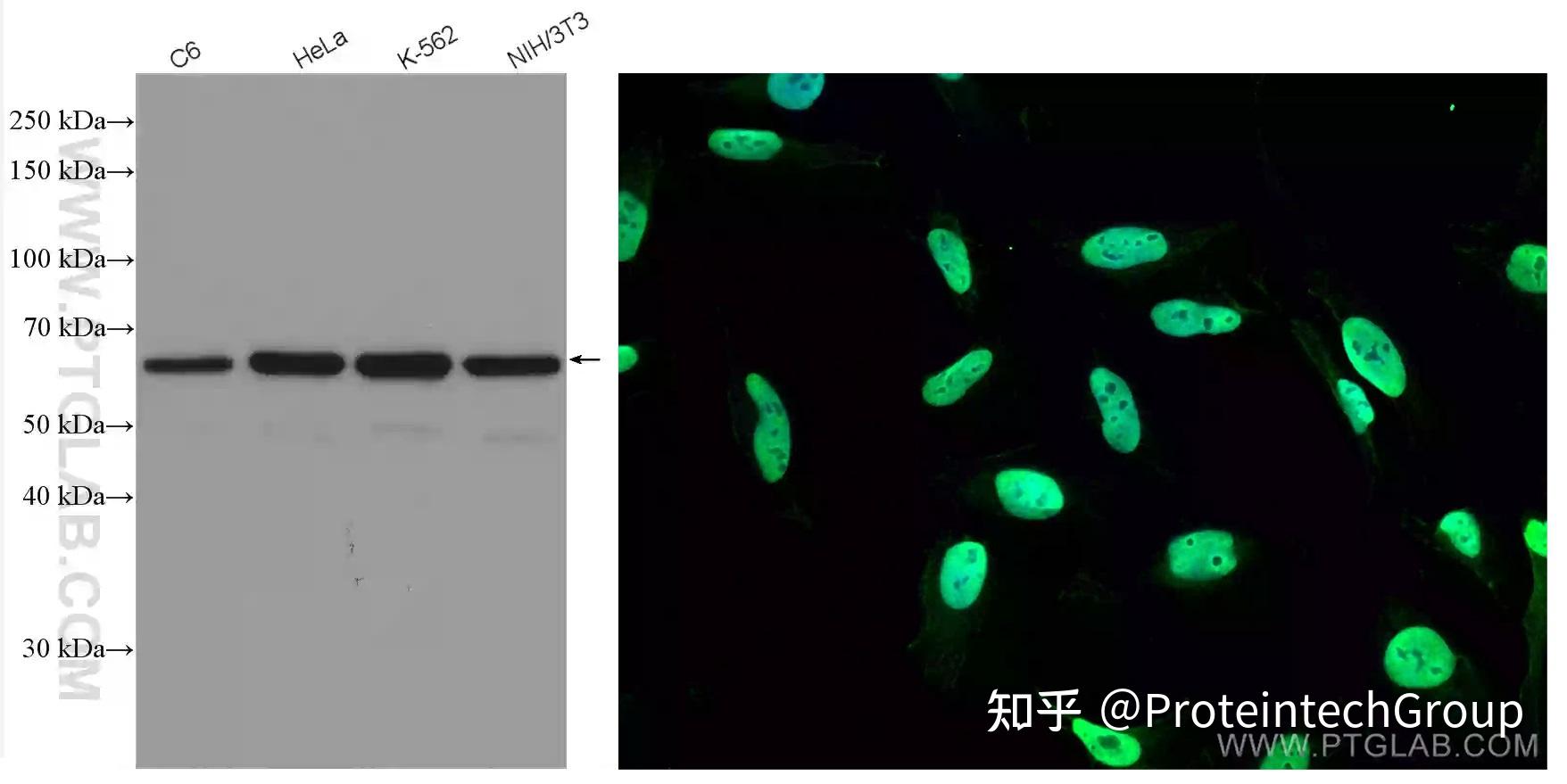 WB指南 | 18种常用WB内参大盘点！码住！ - 知乎