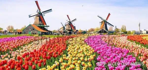 后疫情时代【荷兰】留学为什么会成为首选 - 知乎