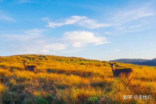 今年想去斯里兰卡怎么玩？ - 知乎
