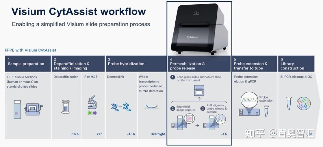 Visium CytAssist实测数据惊艳亮相 | 一个FFPE样本的旅行vlog - 知乎