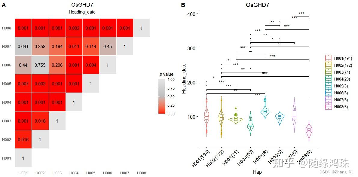 5分钟教你做基因单倍型分析 - 知乎